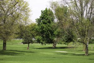 Wabash Valley Golf Club – Visit Jay County