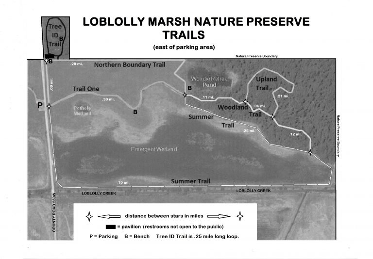 Loblolly Marsh Nature Preserve Trails – Visit Jay County